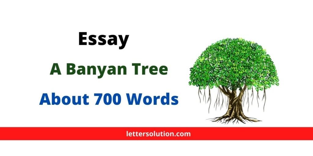 Autobiography of a Tree 600 Words » Letter Solution
