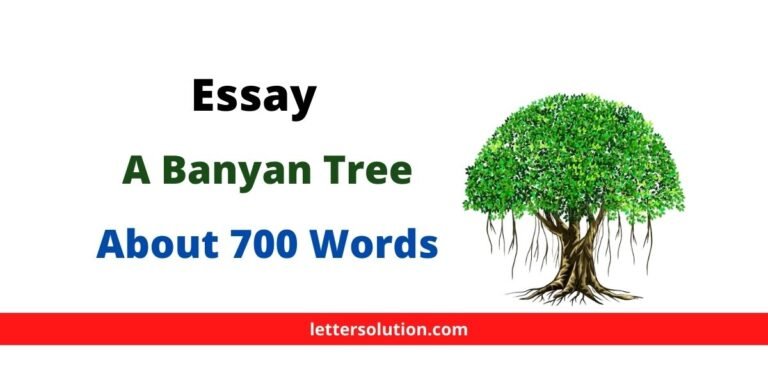 Autobiography of a Tree 600 Words » Letter Solution